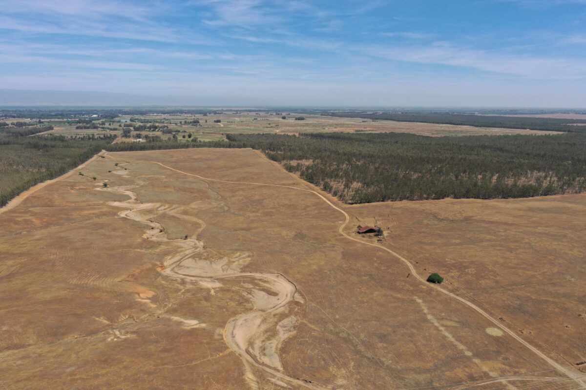 Blackburn Conservation Bank