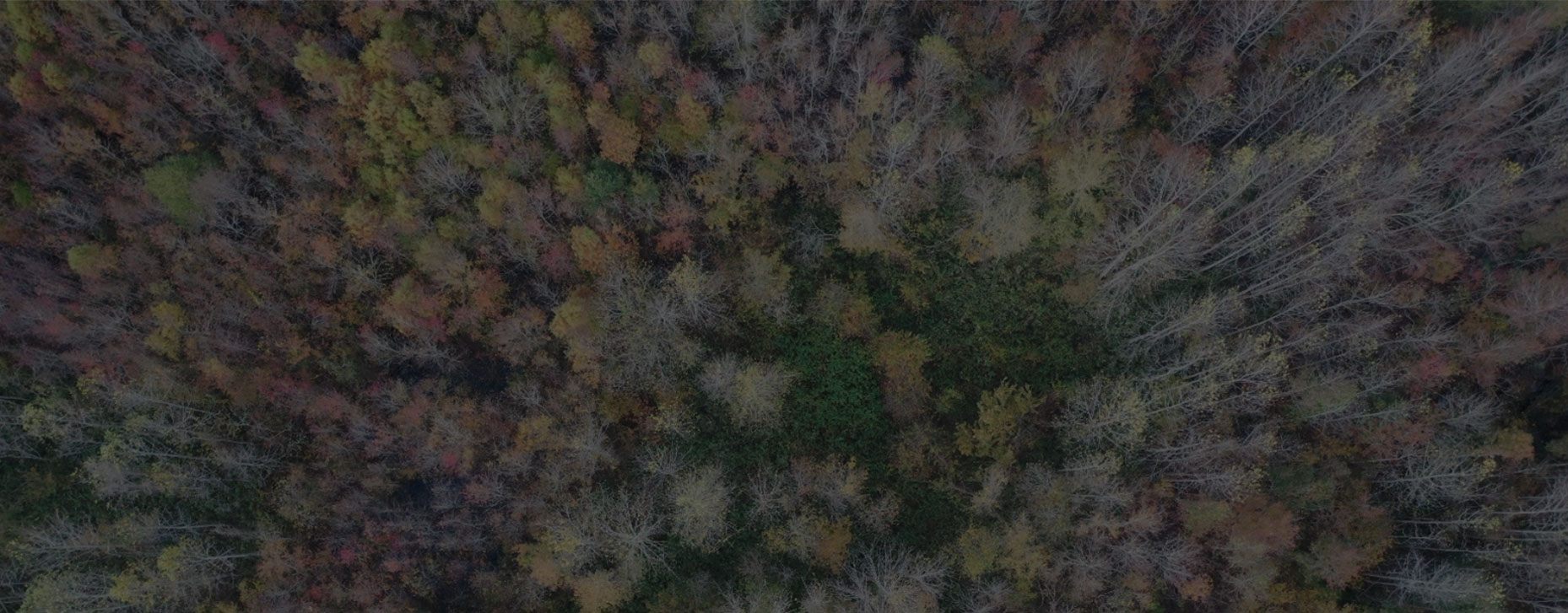 Resource Environmental Solutions, LLC