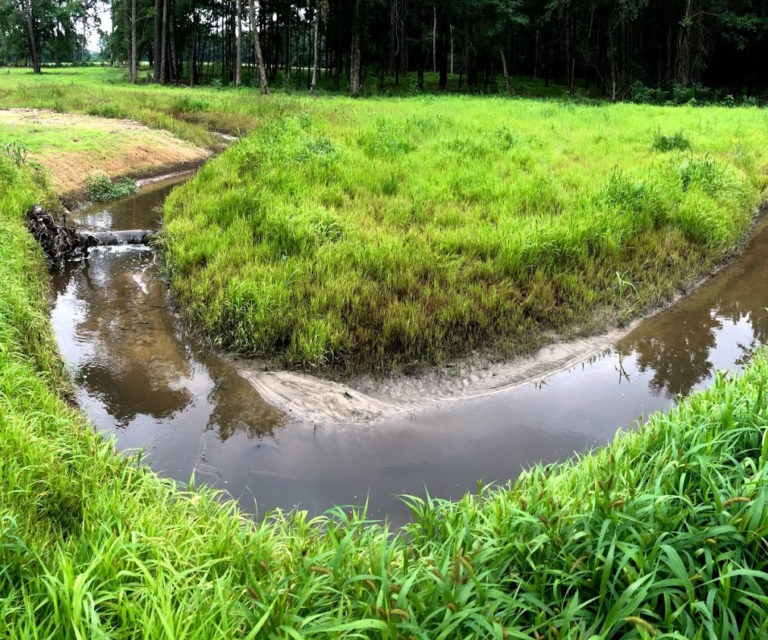 Wetland and Stream Mitigation
