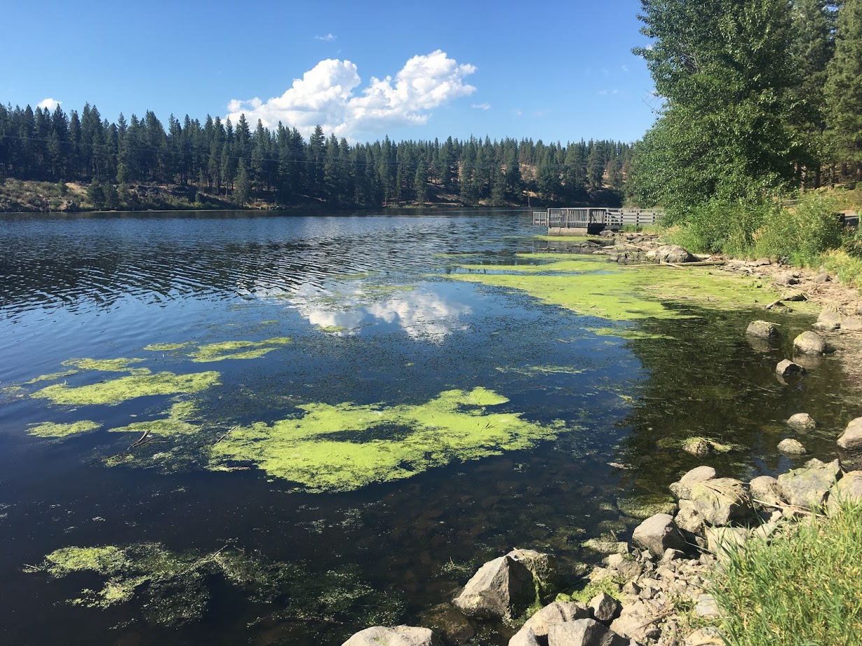 Dam Removal - Resource Environmental Solutions, LLC