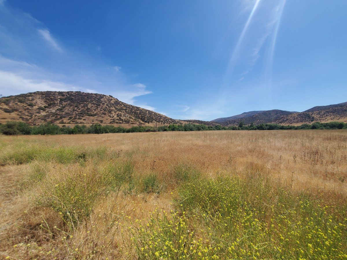Rancho Jamul Phase IIB Mitigation Bank