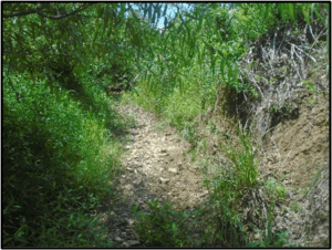 Big Rivers WMA Wetland and Stream Restoration