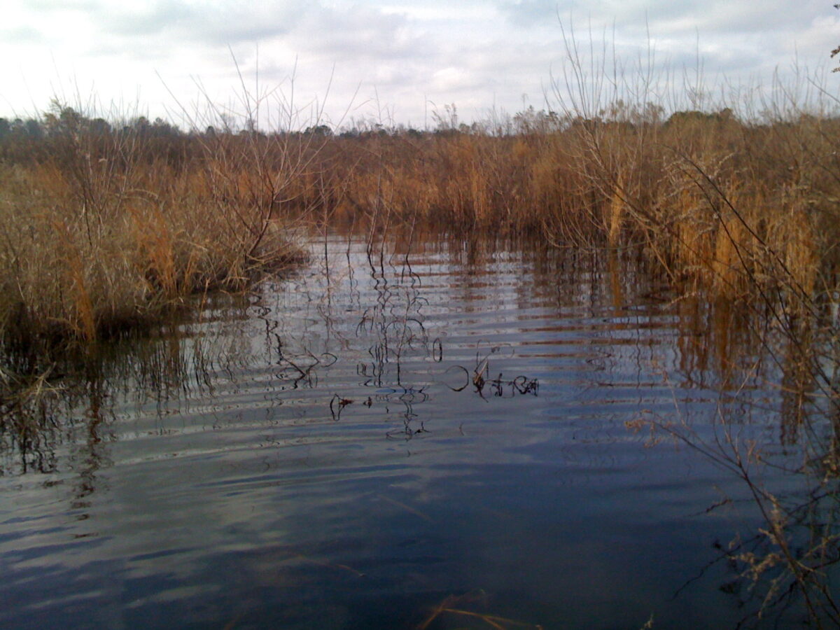 Ohoopee River Mitigation Bank