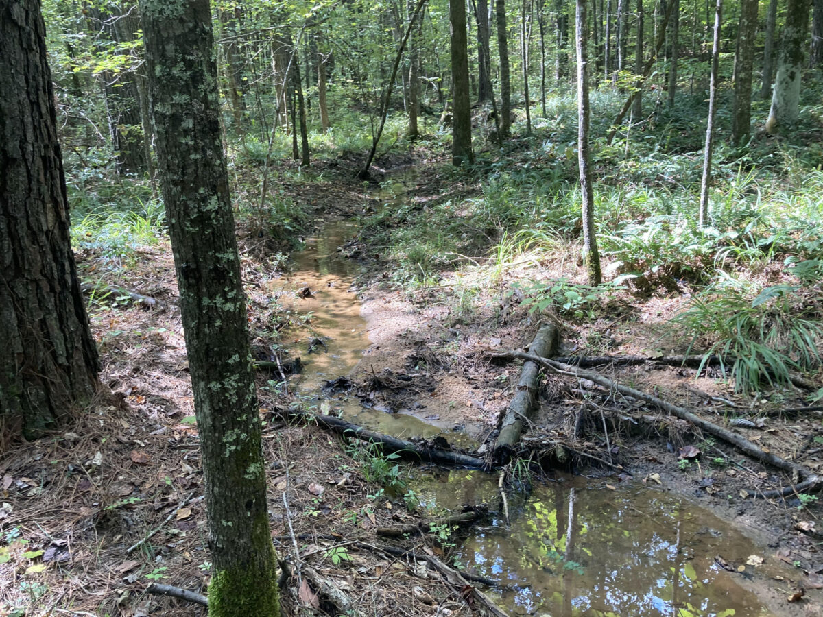 Tower Road 2 Mitigation Bank