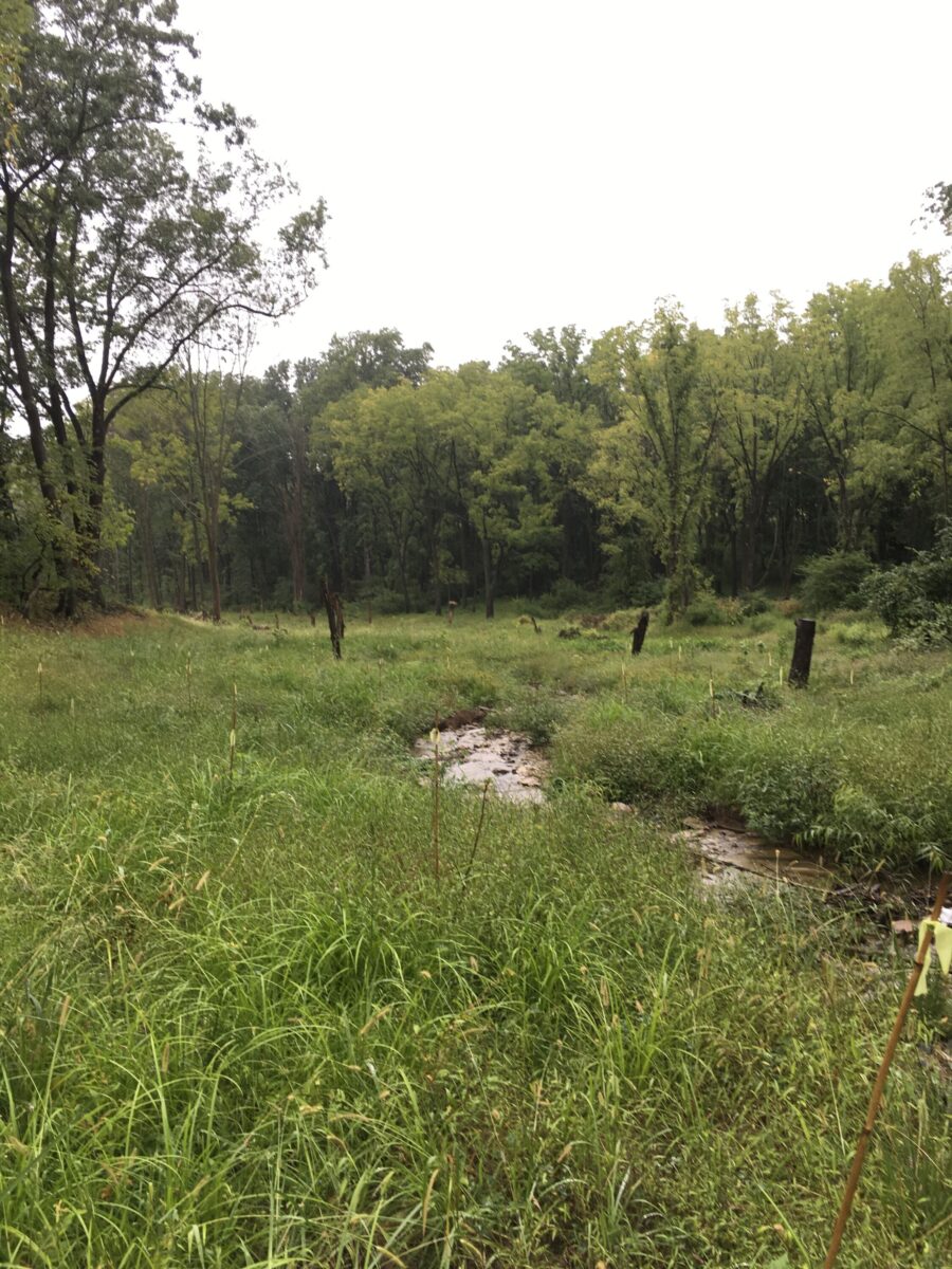 East Branch Codorus Creek