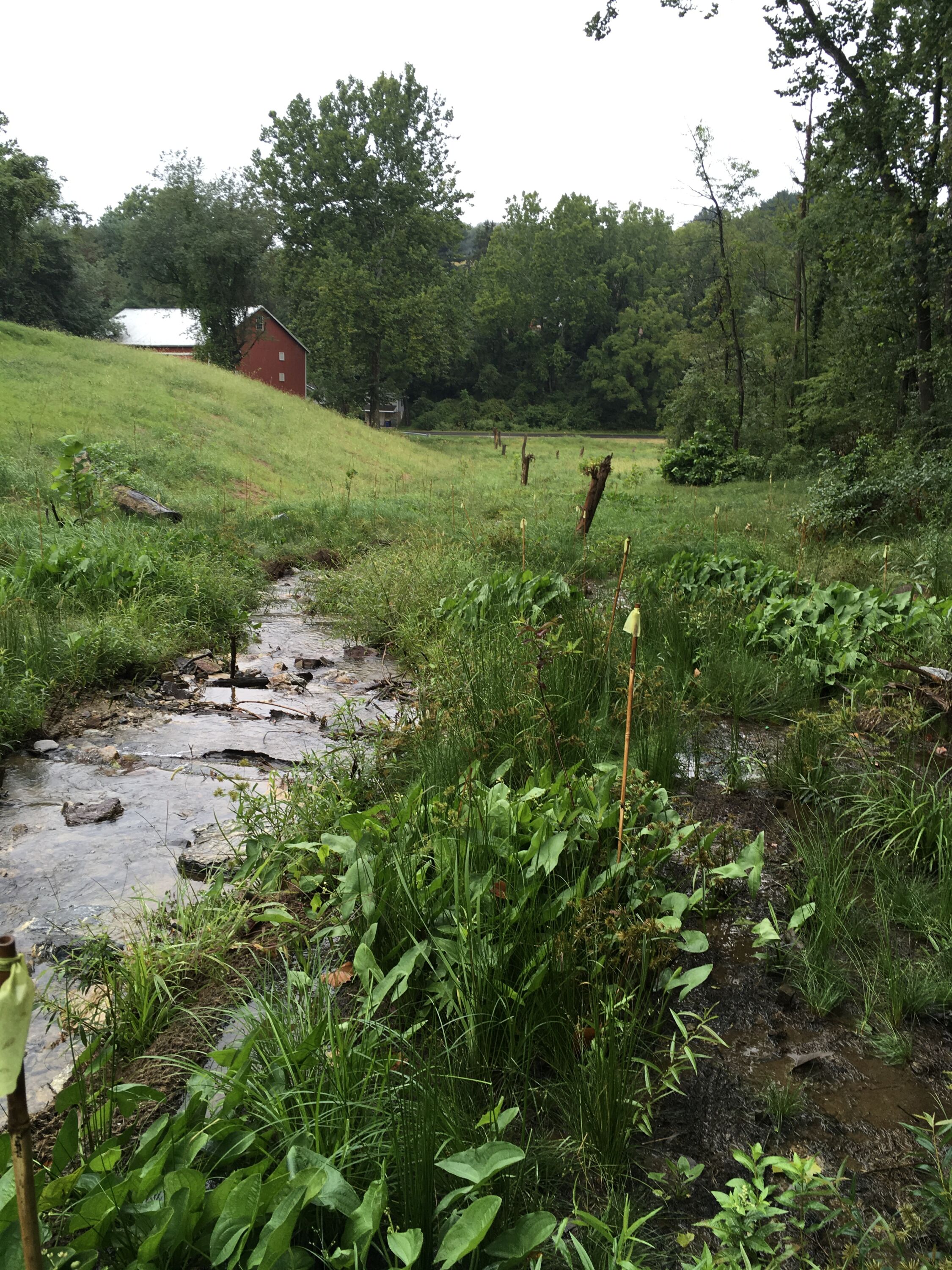 East Branch Codorus Creek