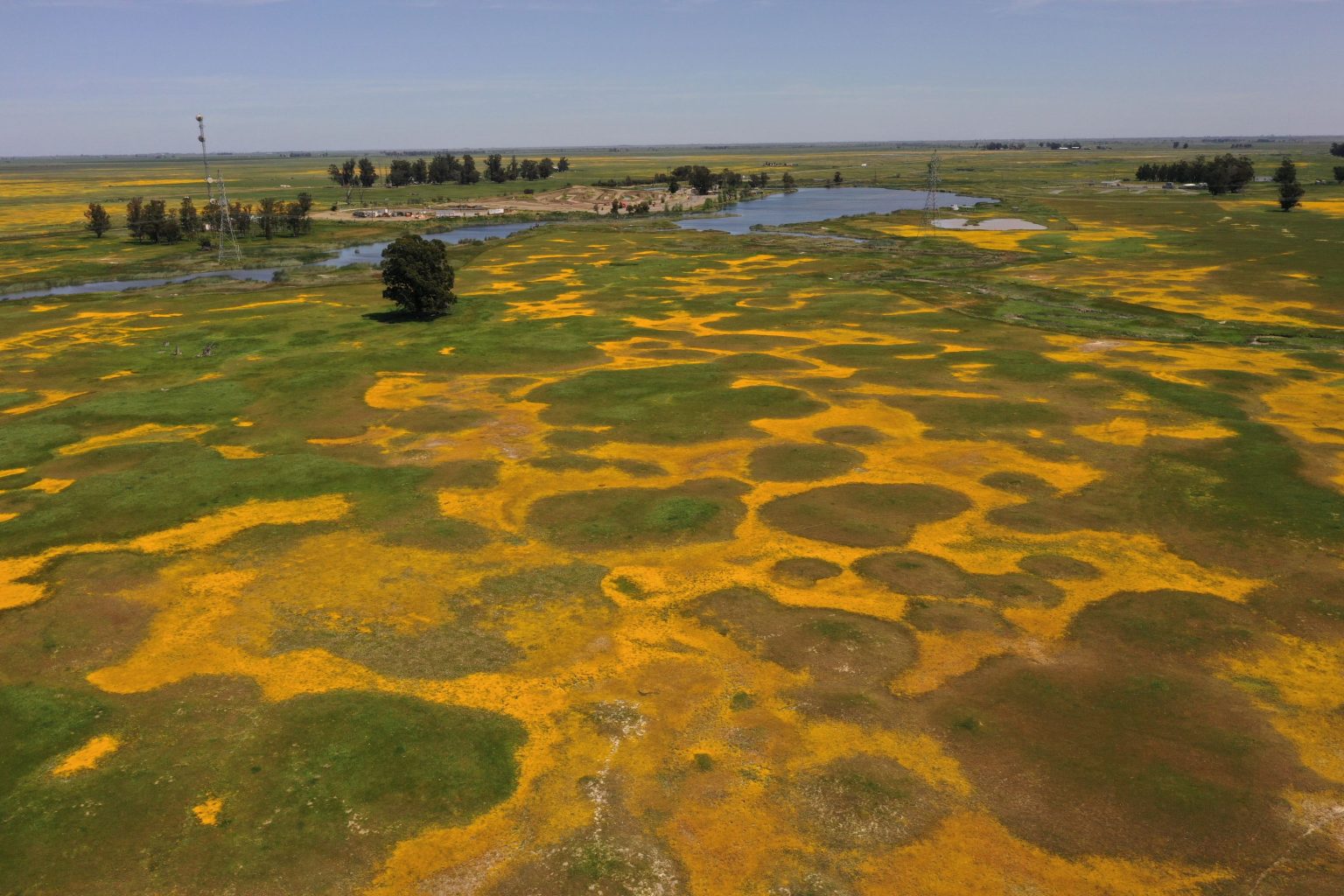 Campbell Ranch Conservation Bank