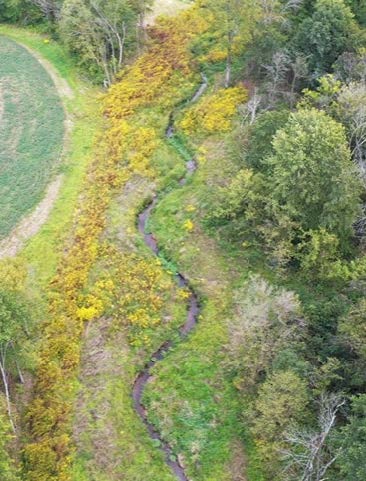 Meeting Montgomery County’s Stormwater Improvements