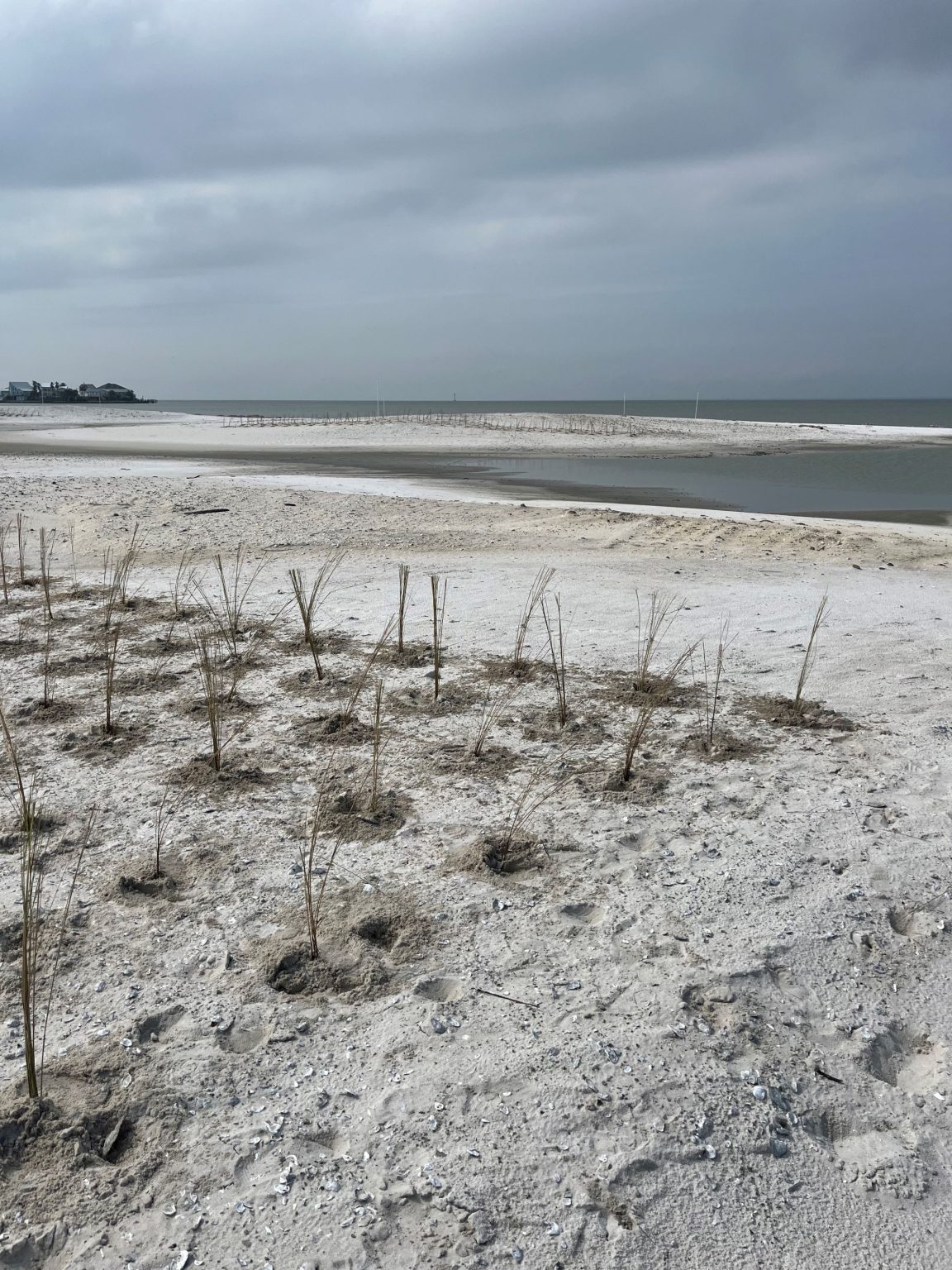 Graveline Bay Coastal Marsh Restoration