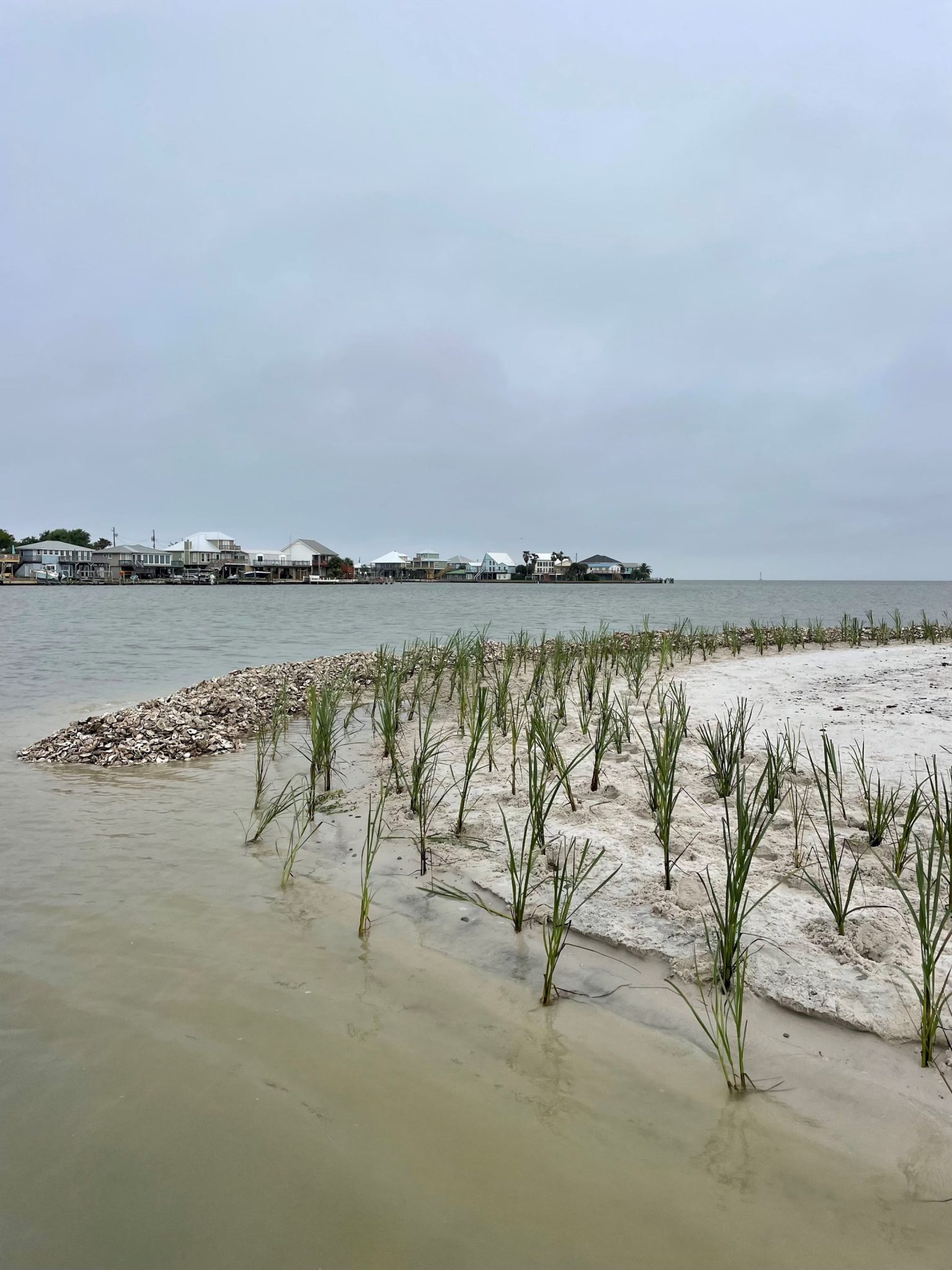 Graveline Bay Coastal Marsh Restoration