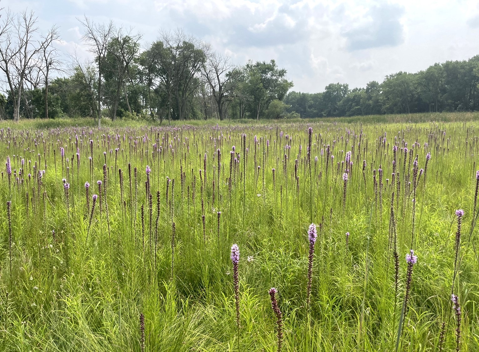 Natural Resource Restoration