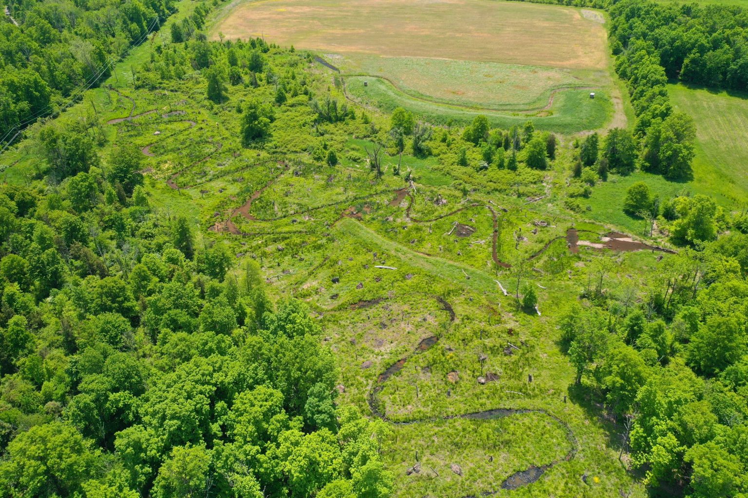 Wetland and Stream Mitigation