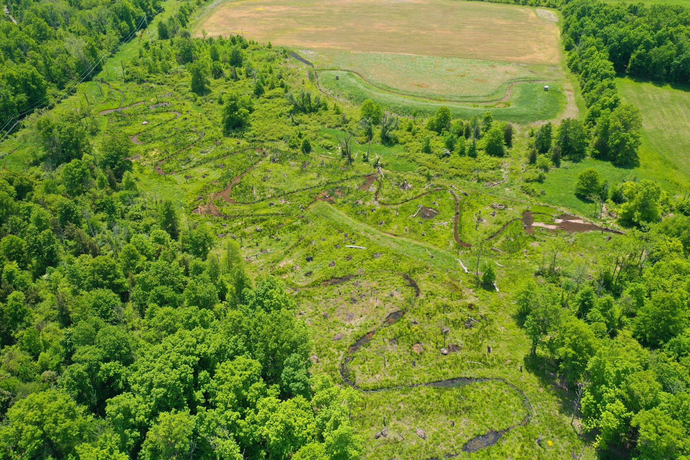 Ecological Considerations for Sustainable Data Center Development